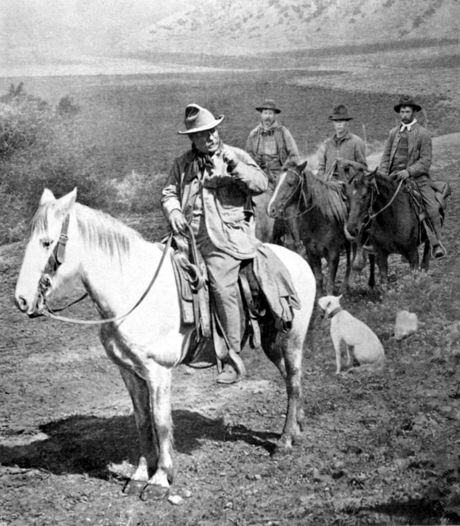 Theodore Roosevelt - History of the Teddy Bear