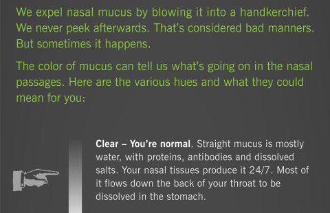 Healthy Mucus Color - What Your Snot Color Means