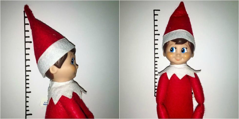 Elf on the Shelf Is the Cutest Wanted Person - Elf on the Shelf Mugshot